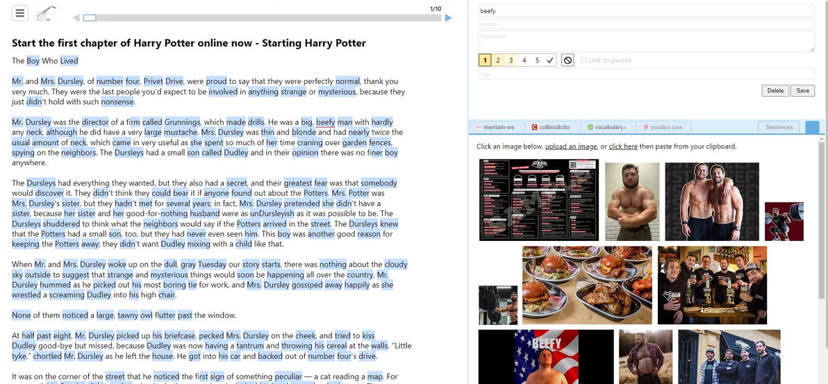 语言学习者必备！免费的阅读神器Lute教程详解——快速提升阅读理解力 - 哔哩哔哩