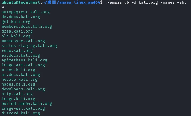 amass：深入攻击面映射和资产发现工具！全参数详细教程！Kali Linux教程！ - 哔哩哔哩
