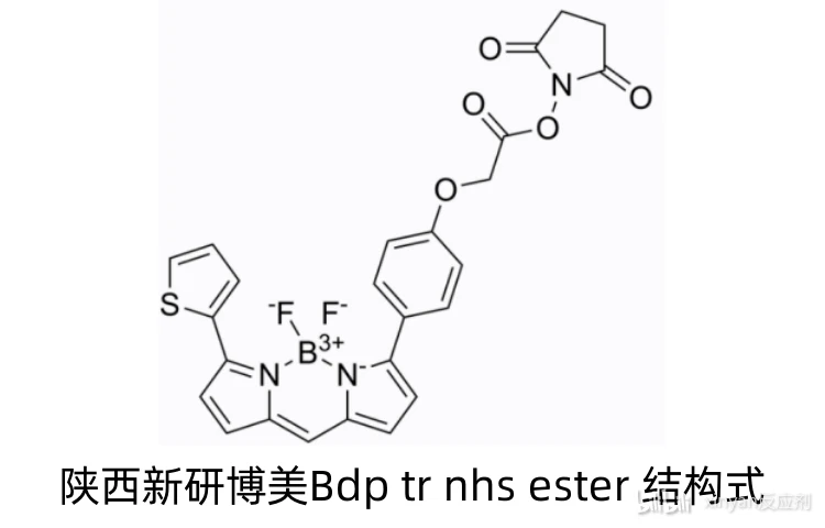 BODIPY TR NHS ester，150152-65-1用于荧光原位杂交 - 哔哩哔哩