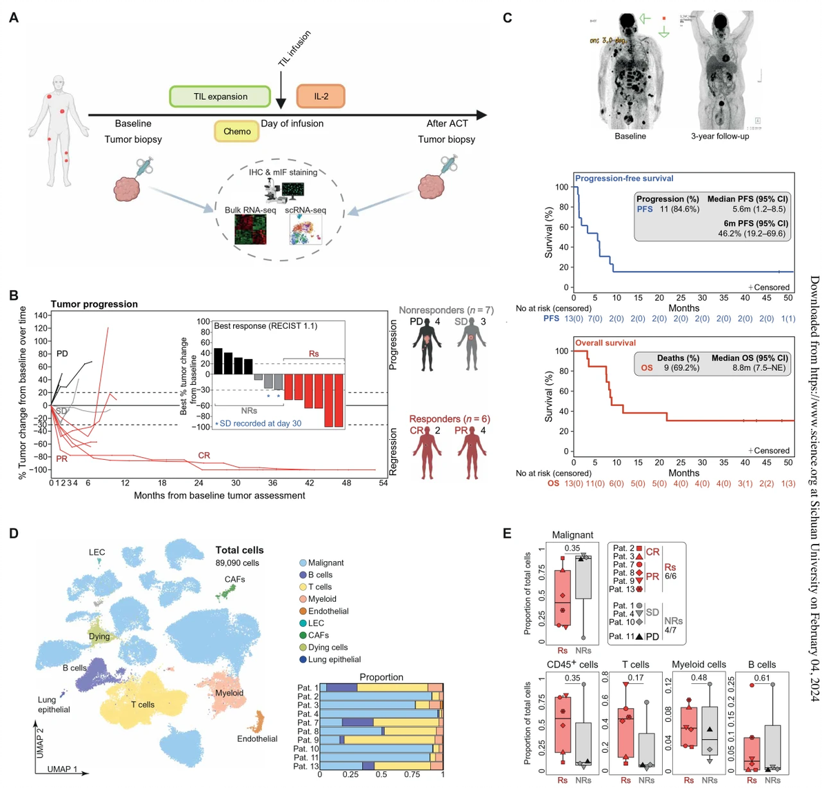 Sci Immunol（IF=24.8）| 单细胞联合多组学揭秘CD8+ T细胞网络如何助力黑色素瘤消退 - 哔哩哔哩