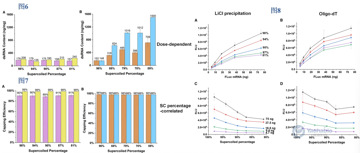 耀文前沿 | 线性化质粒DNA模板中超螺旋DNA的比例控制 - 哔哩哔哩