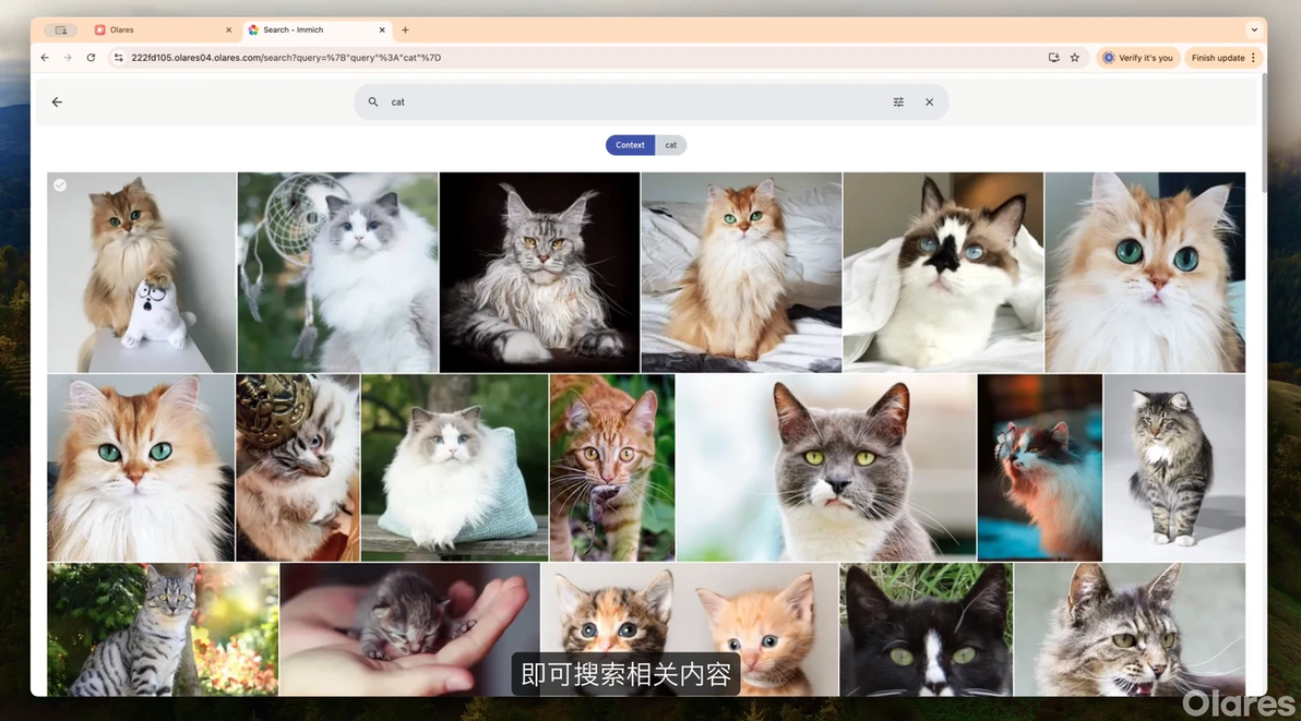 自建【 AI 相册】Immich 私有云相册安装与使用指南 - 哔哩哔哩