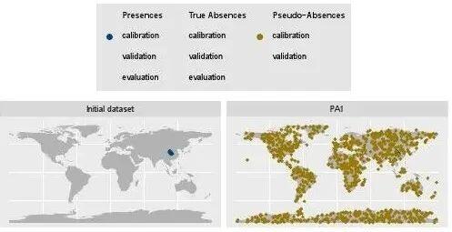 基于R语言平台Biomod2模型的物种分布建模与可视化分析教程（发文利器）2024 - 哔哩哔哩