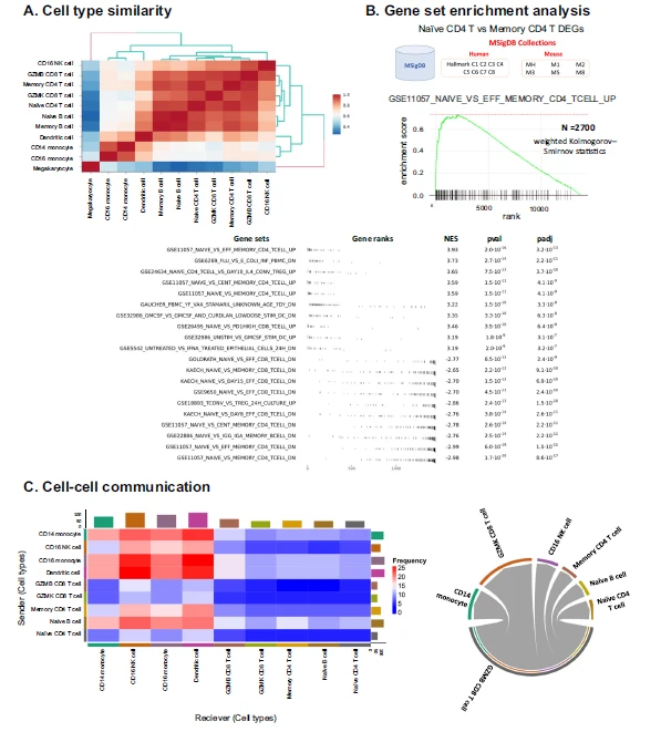 ezSingleCell || 零代码单细胞数据分析平台介绍 - 哔哩哔哩