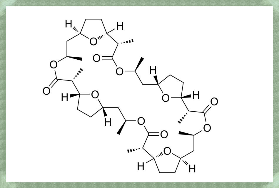 Nonactin 无活菌素的介绍和可应用的领域大解析！CAS NO：6833-8 - 哔哩哔哩
