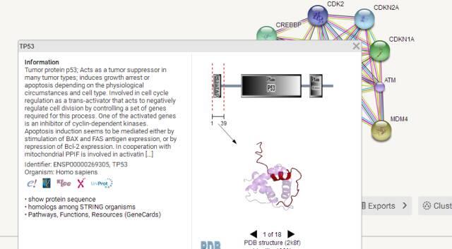 一网打尽：cytoscape详细教程 - 哔哩哔哩