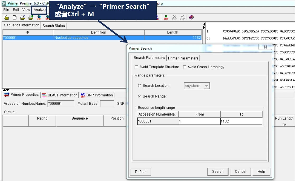 Primer Premier 6，3分钟教你完成引物设计（含软件安装） - 哔哩哔哩