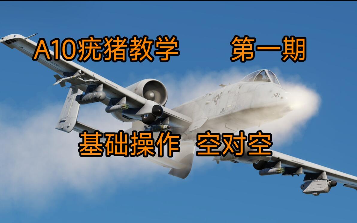 DCS World 新手/萌新综合教程 - 哔哩哔哩