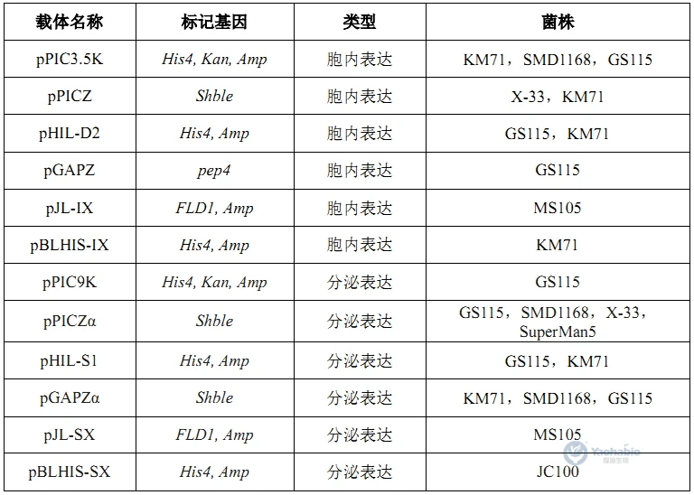 毕赤酵母表达重组蛋白工具篇（超详细！！！） - 哔哩哔哩