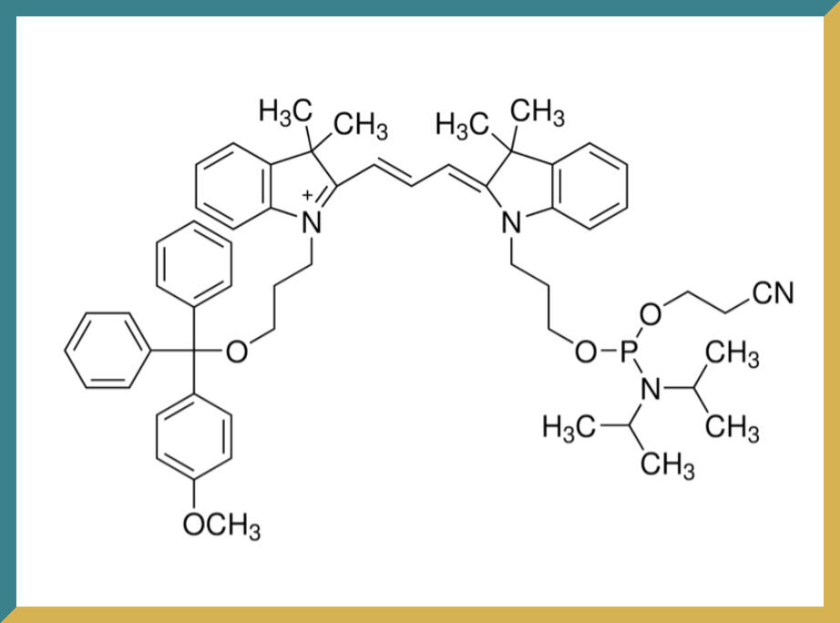 Amidite Cyanine3 ，花青3亚磷酰胺标记寡核苷酸的方法 - 哔哩哔哩