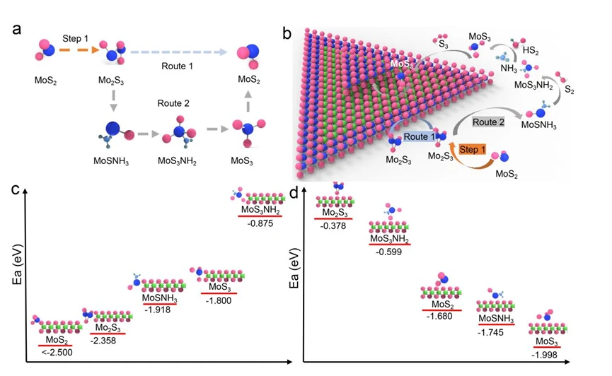 二维材料丨湖南大学段曦东教授课题组AM：铵辅助CVD工艺促进2D TMD垂直异质结的生长 - 哔哩哔哩