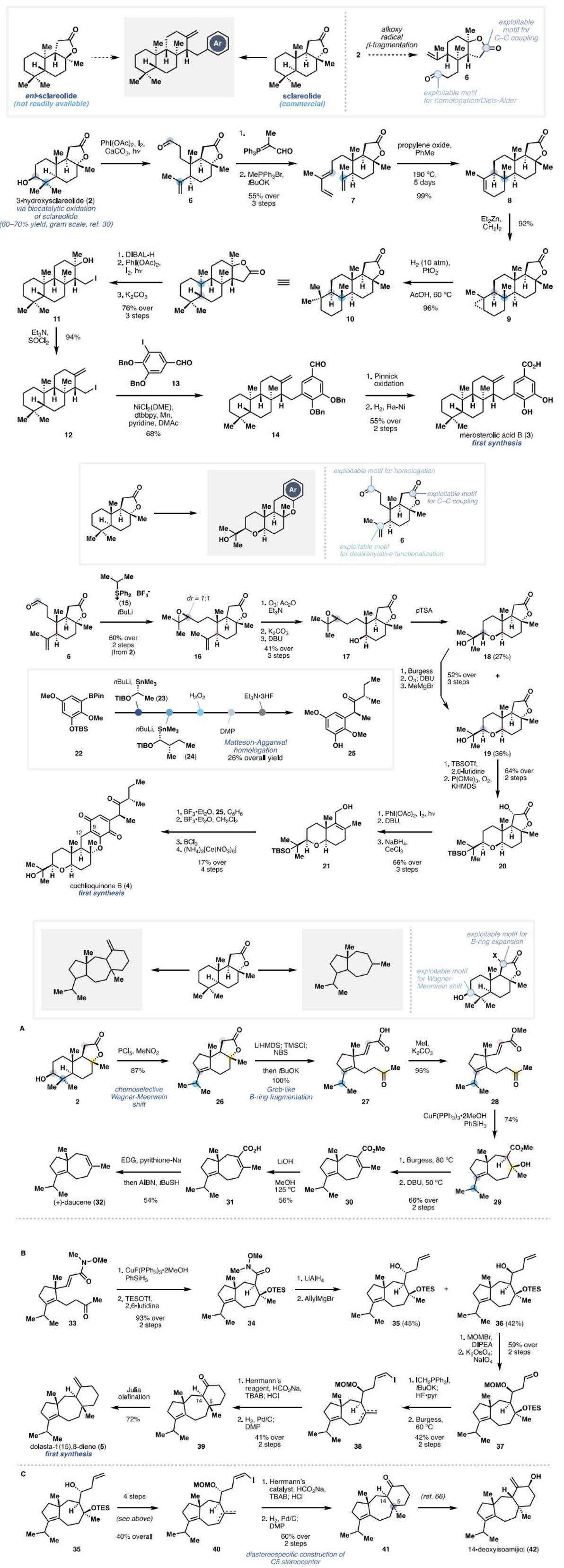 Hans Renata、李健、李付琸合作Nat Chem - 哔哩哔哩