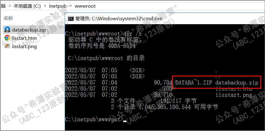 第10篇：IIS短文件名猜解漏洞在拿权限中的巧用 - 哔哩哔哩