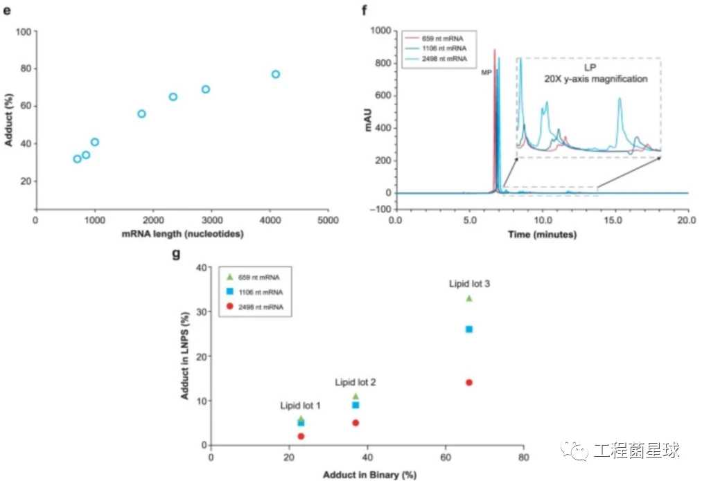 【耀文解读】基于IP-RP-HPLC分析mRNA疫苗中的杂质：脂质 mRNA加合物 - 哔哩哔哩