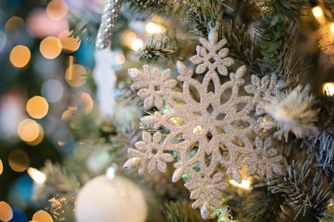 莱沃口腔‖圣诞+元旦，年末社交季，你的笑容准备好了吗？ - 哔哩哔哩