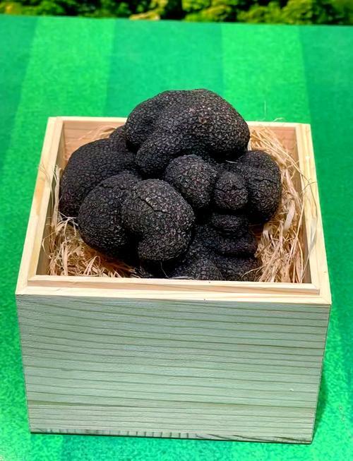 黑松露泡酒制作方法：纯粮酒配方+步骤，新手一看就会 - 哔哩哔哩