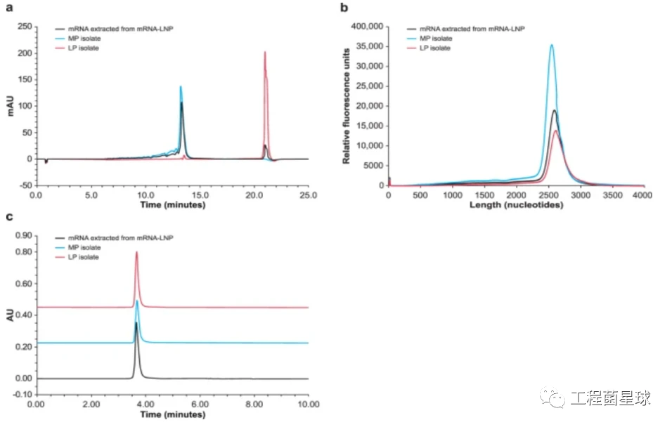 【耀文解读】基于IP-RP-HPLC分析mRNA疫苗中的杂质：脂质 mRNA加合物 - 哔哩哔哩