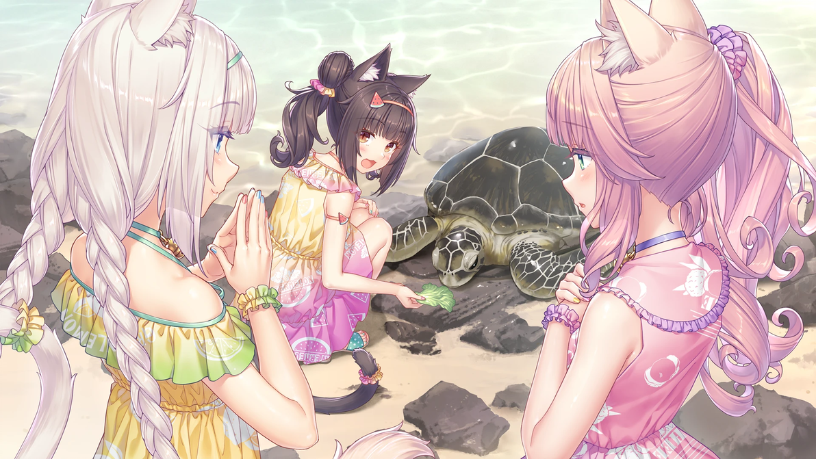 《猫娘乐园（Nekopara After）》全CG（CG-Galgame-NEKOWORKs08-2025081302） - 哔哩哔哩