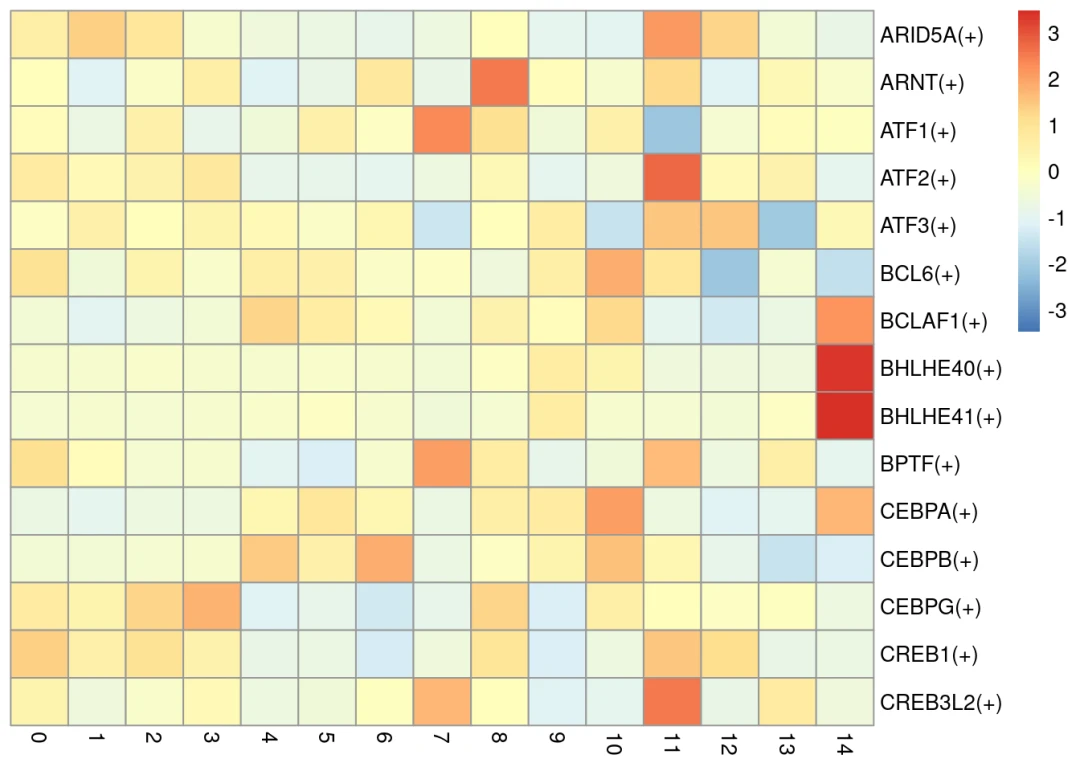 非模式物种PySCENIC分析流程 - 哔哩哔哩