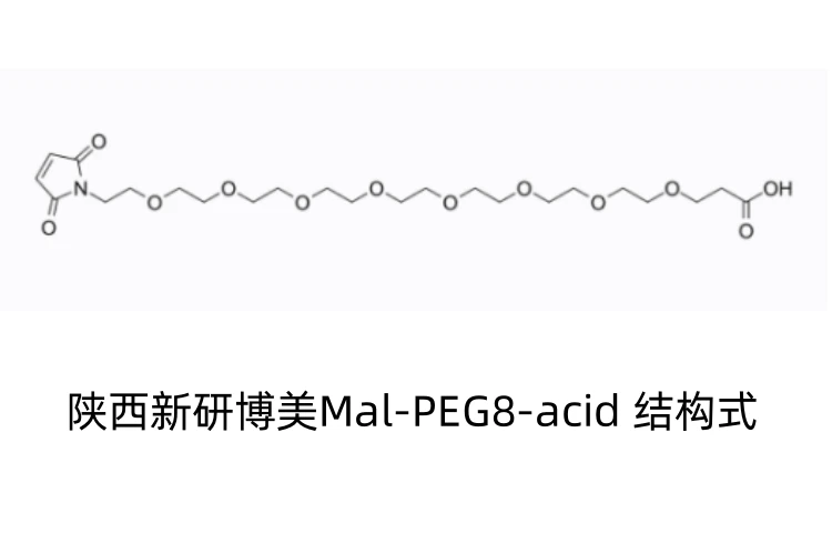 Mal-PEG8-acid，1818294-46-0可以用于各种化学合成和修饰 - 哔哩哔哩