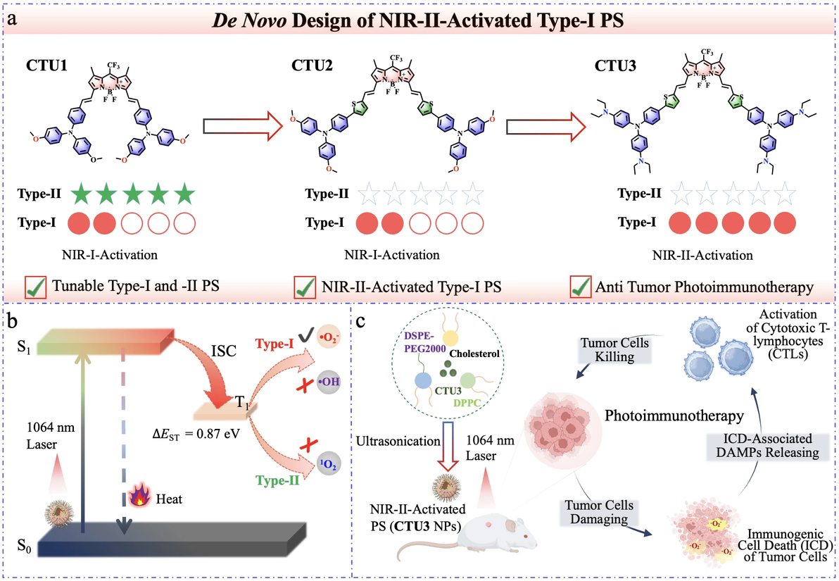 李振聲教授AM：NIR-II激活I型无重原子光敏剂的从头设计及其抗肿瘤光免疫治疗 - 哔哩哔哩