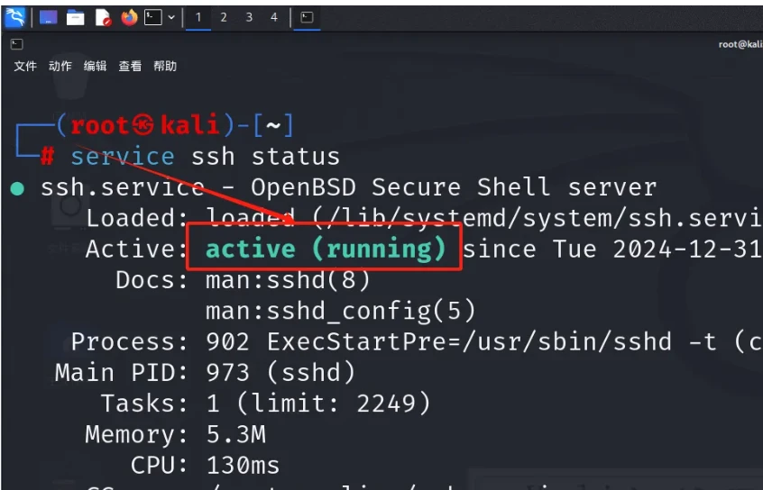 仅需4步，开启Kali Linux的SSH服务（By:Kali与编程） - 哔哩哔哩