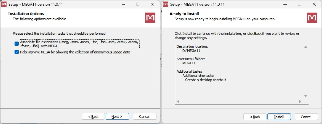 如何使用MEGA 11完成多序列比对和系统发育树构建图？ - 哔哩哔哩