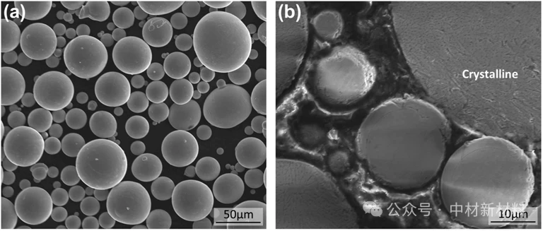 扫描电镜下的秘密：金属晶粒、花粉、半导体芯片这些细节肉眼永远看不见—TEM测试 - 哔哩哔哩