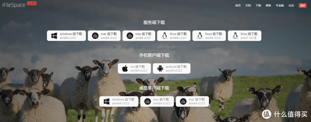 完整教程！这款文件管理系统太强了—极空间部署iFileSpace - 哔哩哔哩