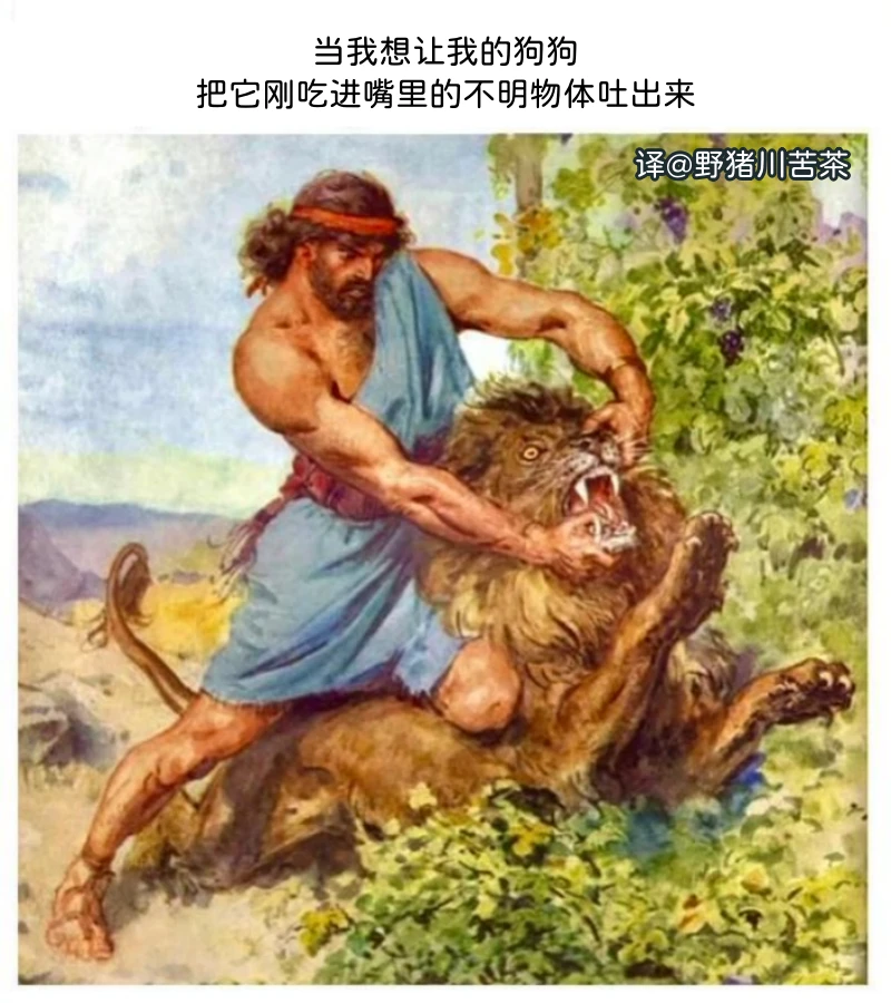 Meme梗图:每天游荡在互联网上搜集搞笑图片的我 哔哩哔哩