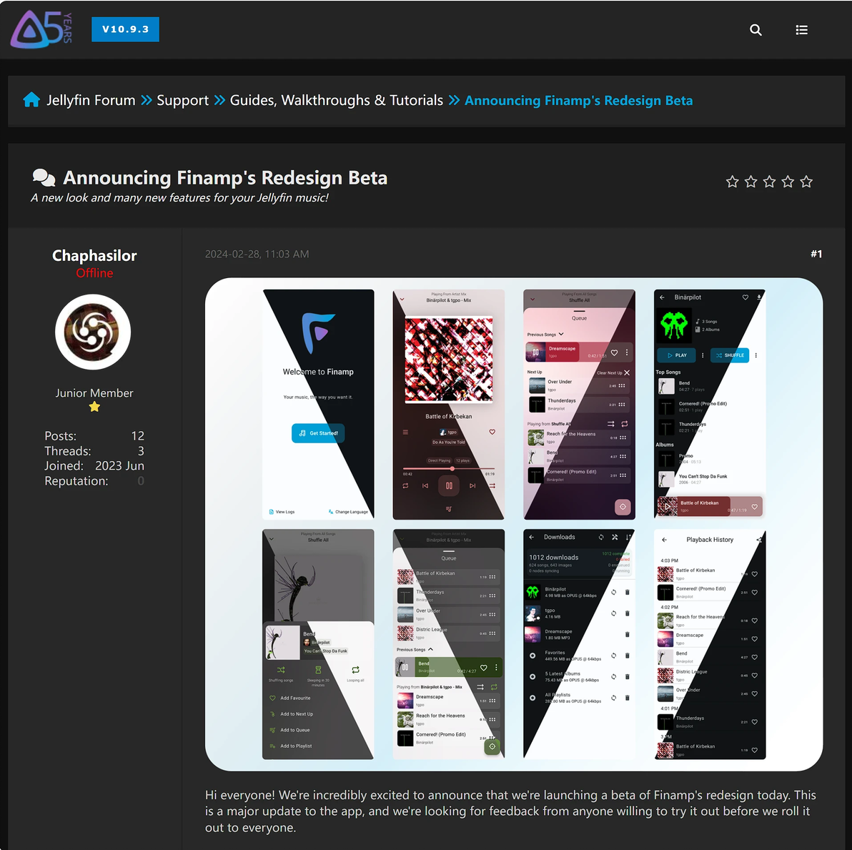 【瞎折腾】关于Jellyfin10.9.3版本歌词特性的测试记录（24年5月） - 哔哩哔哩