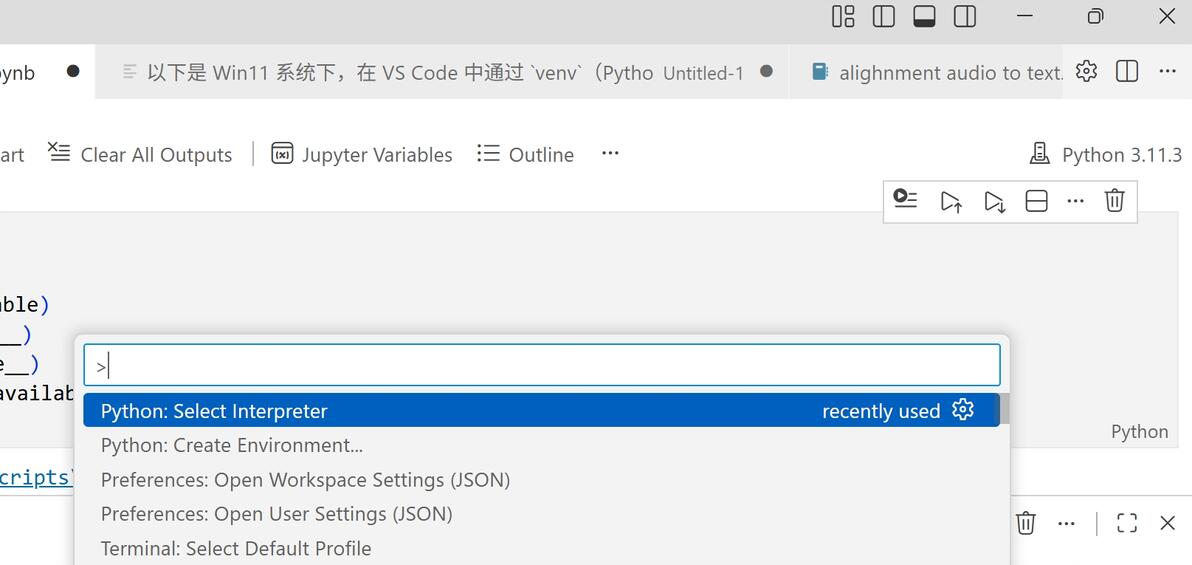 vscode中设置python(.ipynb）虚拟编译环境 - 哔哩哔哩