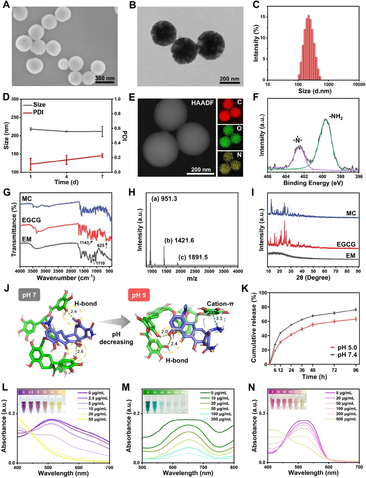 多酚驱动的模块化自组装纳米抗生素可通过清除细菌感染和抑制化脓作用控制炎症 - 哔哩哔哩
