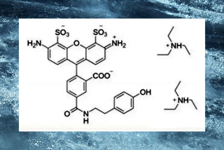 AF488 TSA，Alexa Fluor 488酪胺试剂用于免疫组织化学实验中 - 哔哩哔哩