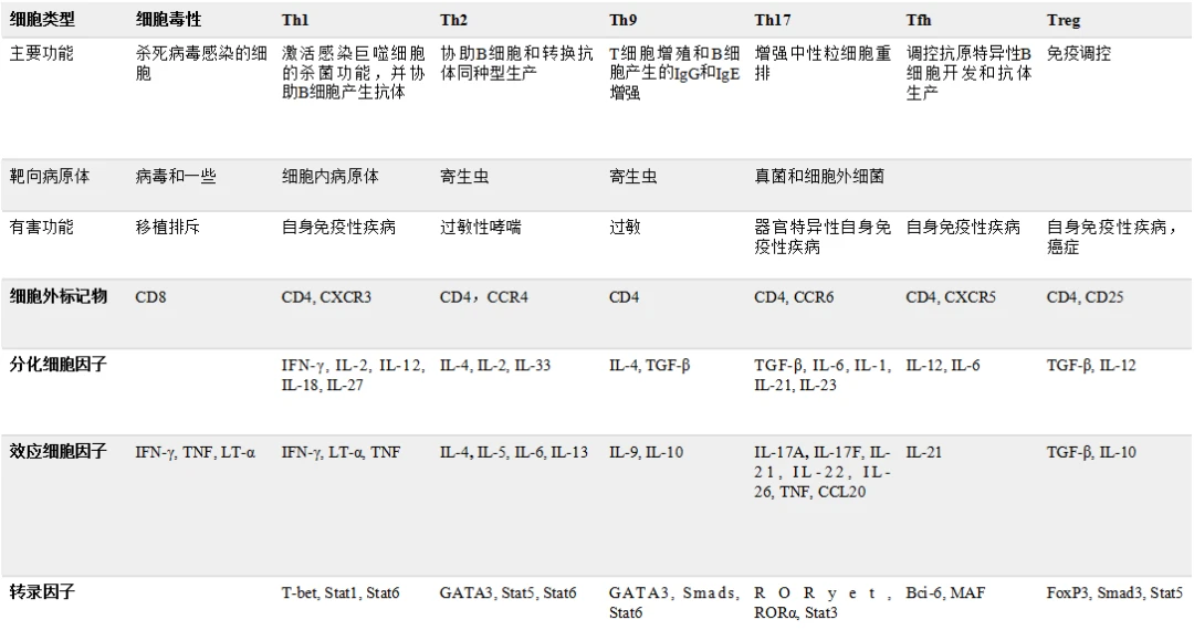 T细胞分类及标记物汇总详解版 - 哔哩哔哩