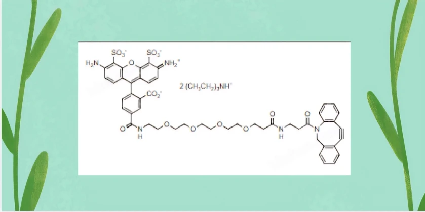快速入门：AF488-PEG4-DBCO可实时追踪内吞作用或代谢途径 - 哔哩哔哩