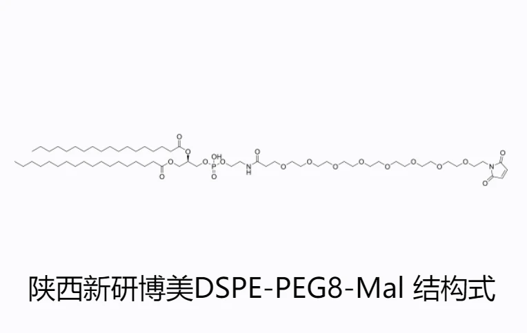 DSPE-PEG8-Mal，2112737-94-5是一种化学合成的两亲性分子 - 哔哩哔哩