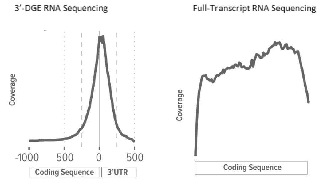 高通量、低成本的RNA-seq：3'-DGE - 哔哩哔哩
