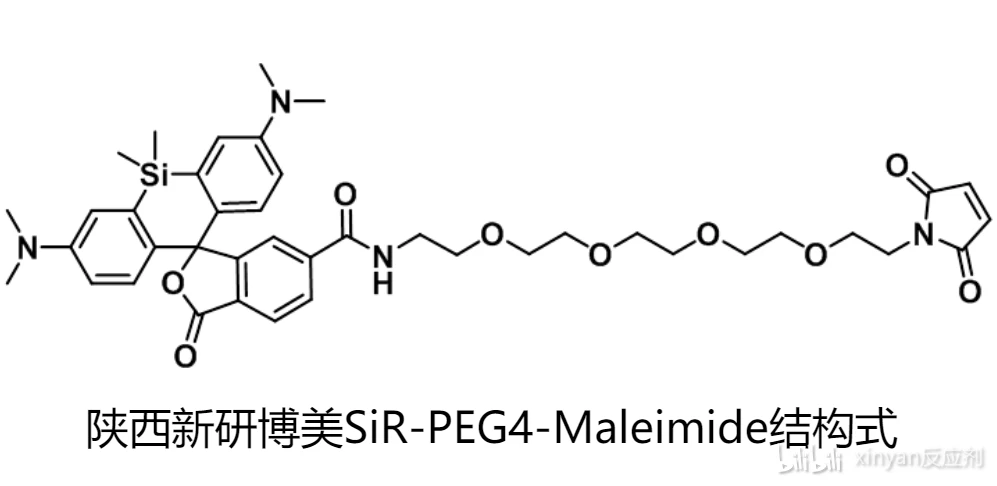 SiR-PEG4-Mal，硅基四聚乙二醇马来酰亚胺用于蛋白质标记 - 哔哩哔哩