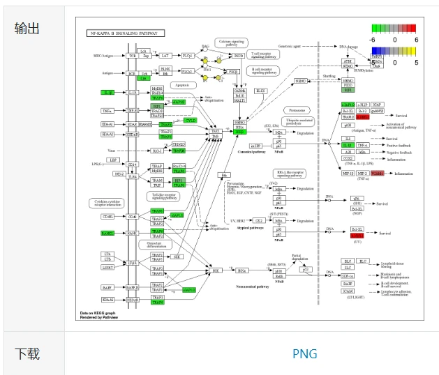 使用pathview在线渲染KEGG通路图，给感兴趣的基因、化合物添加颜色 - 哔哩哔哩