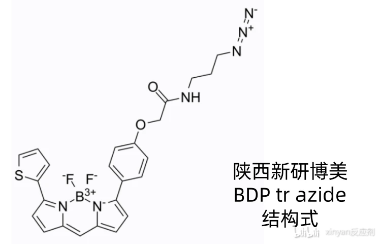 BODIPY tr azide，2183473-27-8可应用于荧光偏振测定 - 哔哩哔哩