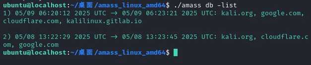 amass：深入攻击面映射和资产发现工具！全参数详细教程！Kali Linux教程！ - 哔哩哔哩