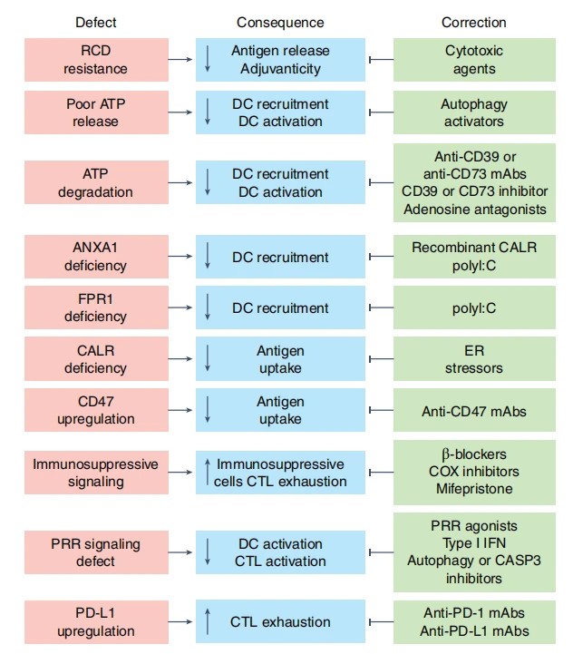 细胞死亡新热点：“免疫原性细胞死亡（ICD）”研究思路汇总 - 哔哩哔哩