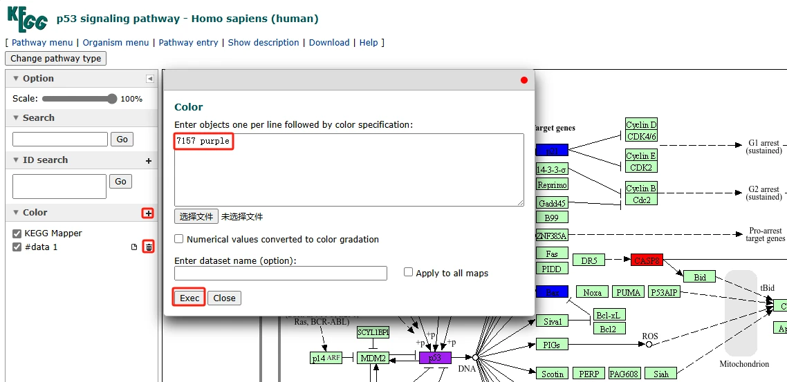 必收藏！信号通路可视化神器汇总！ - 哔哩哔哩