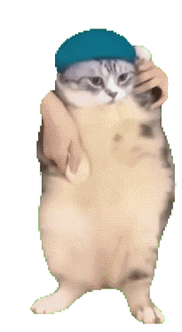 猫meme素材,动图表情包 - 哔哩哔哩