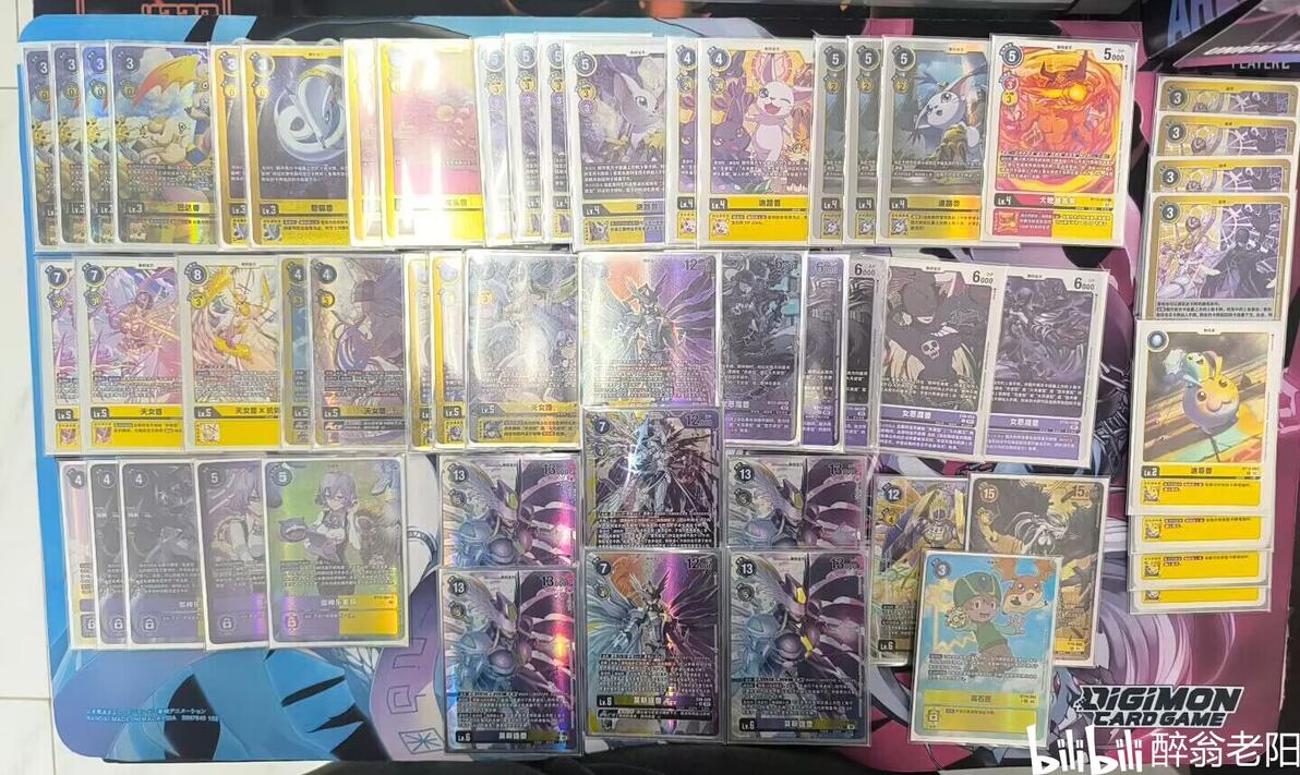 【一费到你】衡阳零刻卡牌6.14简中DTCG进化杯2025年第二赛季28人战报 - 哔哩哔哩