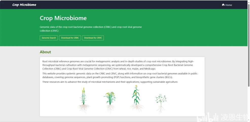 挖啊挖啊挖！根际微生物中挖出一篇Cell - 哔哩哔哩