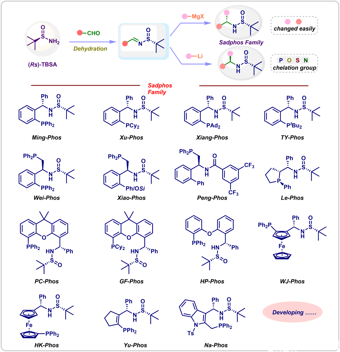 Sadphos：叔丁基亚磺酰胺（TBSA）的神奇之旅 - 哔哩哔哩