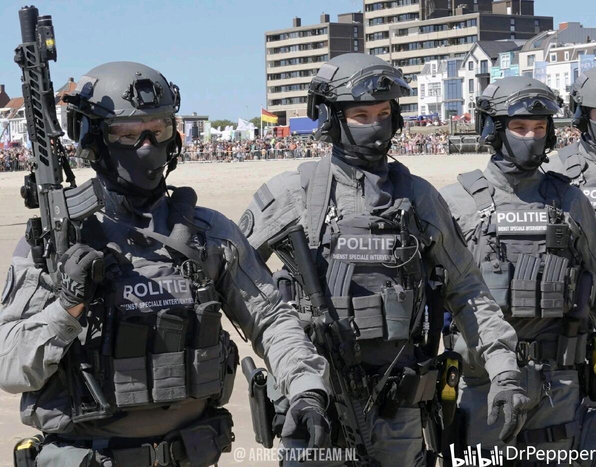 关于荷兰DSI装具细节 - 哔哩哔哩