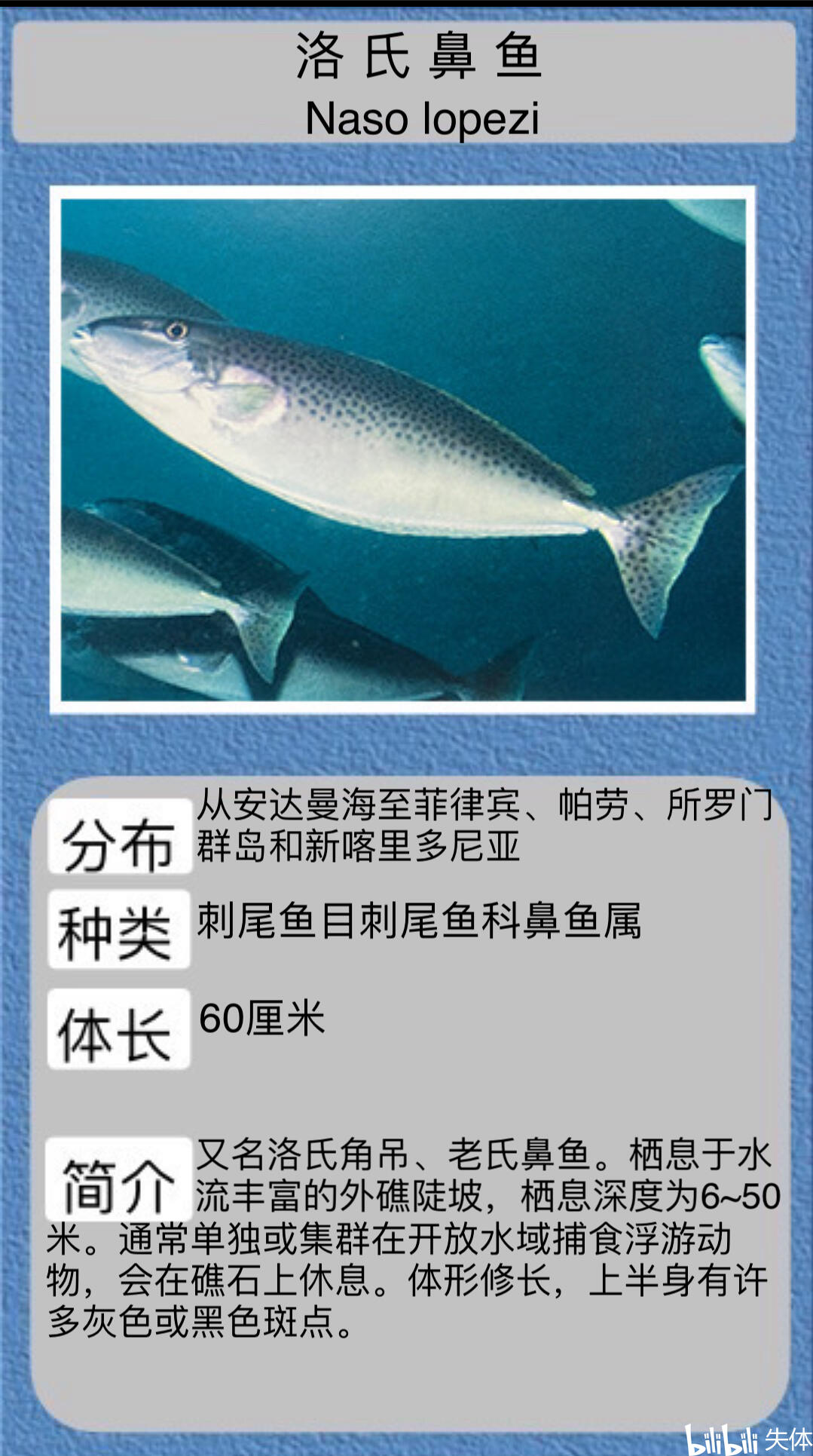 鱼类快餐式科普第2弹 - 哔哩哔哩